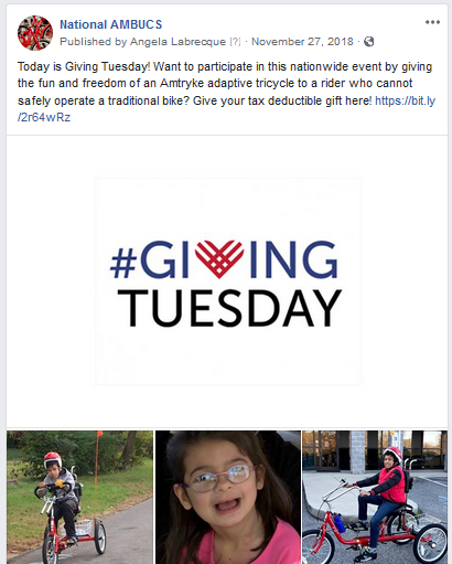 Facebook Year-End Campaign – Angela Labrecque