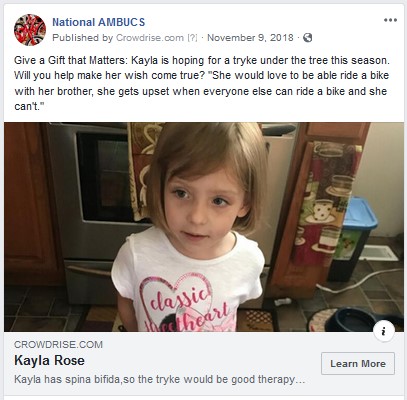 Facebook Year-End Campaign – Angela Labrecque