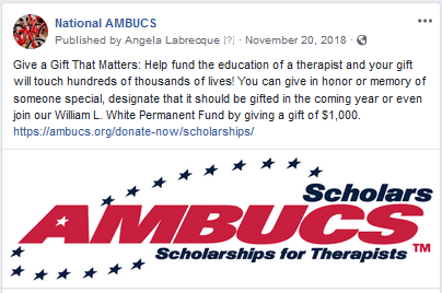 Facebook Year-End Campaign – Angela Labrecque